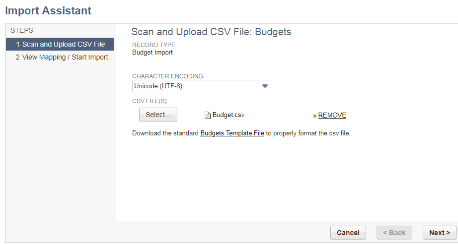 Setting up Budgets in NetSuite.