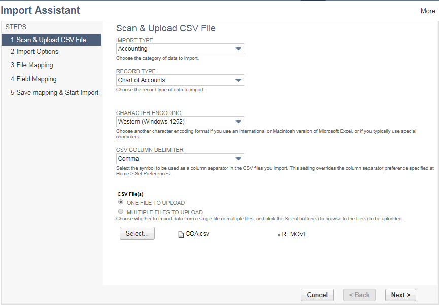 Creation of Chart of Accounts in NetSuite.
