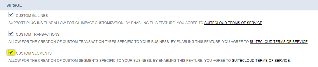 Custom Segments overview in NetSuite.